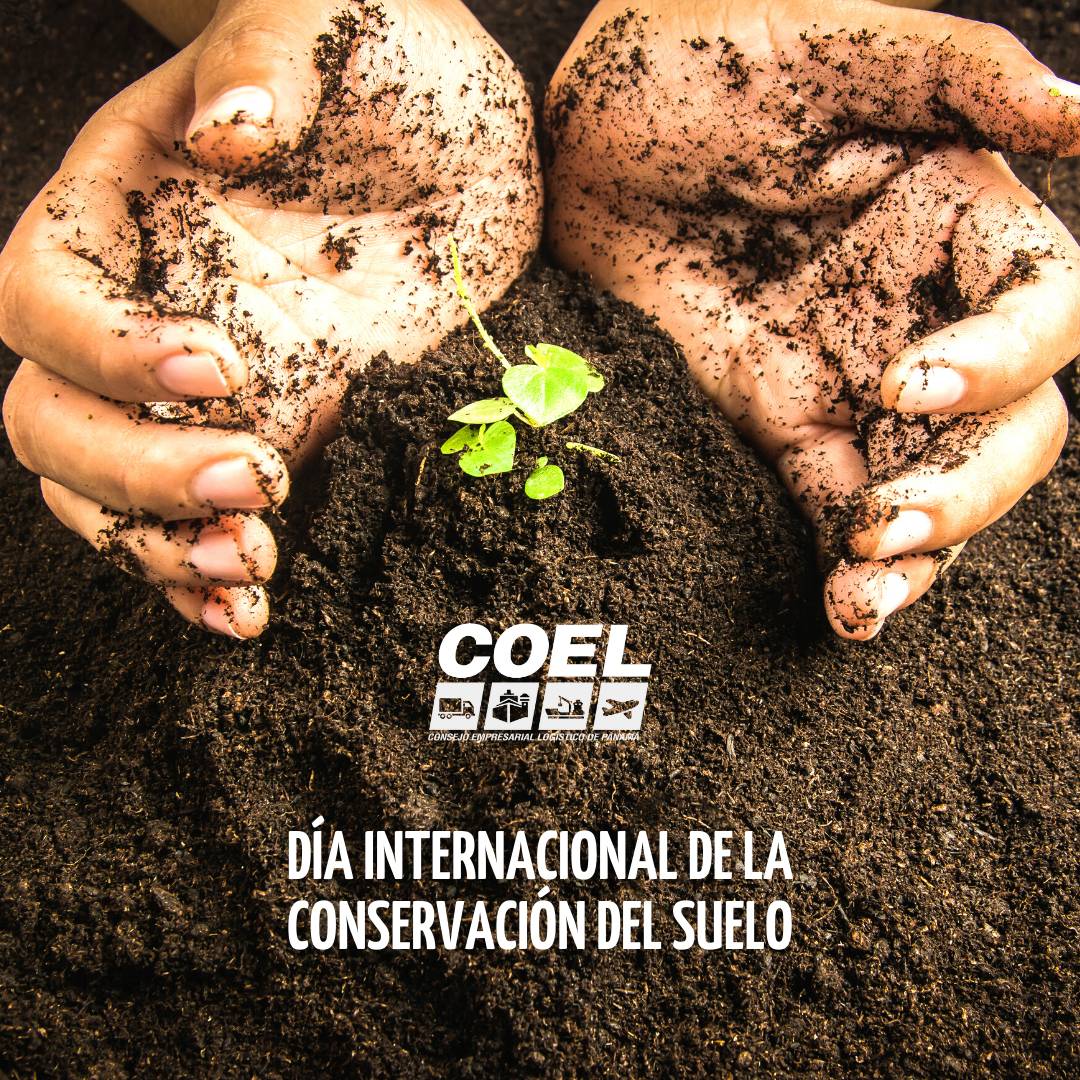 Hoy, 07 de julo, celebramos el Día Internacional de la Conservación del Suelo. | COEL - Consejo ...